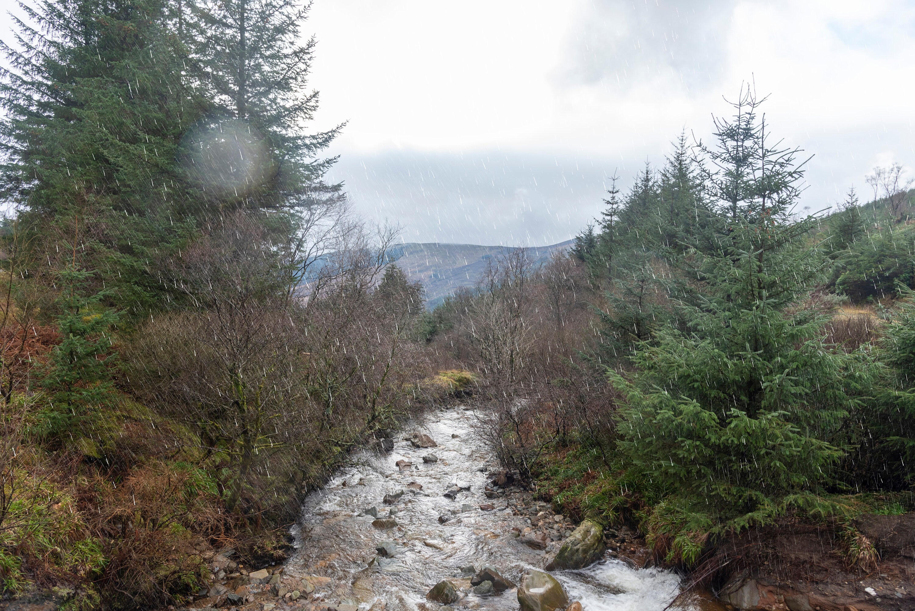 Photshop Rain Overlay Snow Overlays Rain Showers Photography Overlay ...