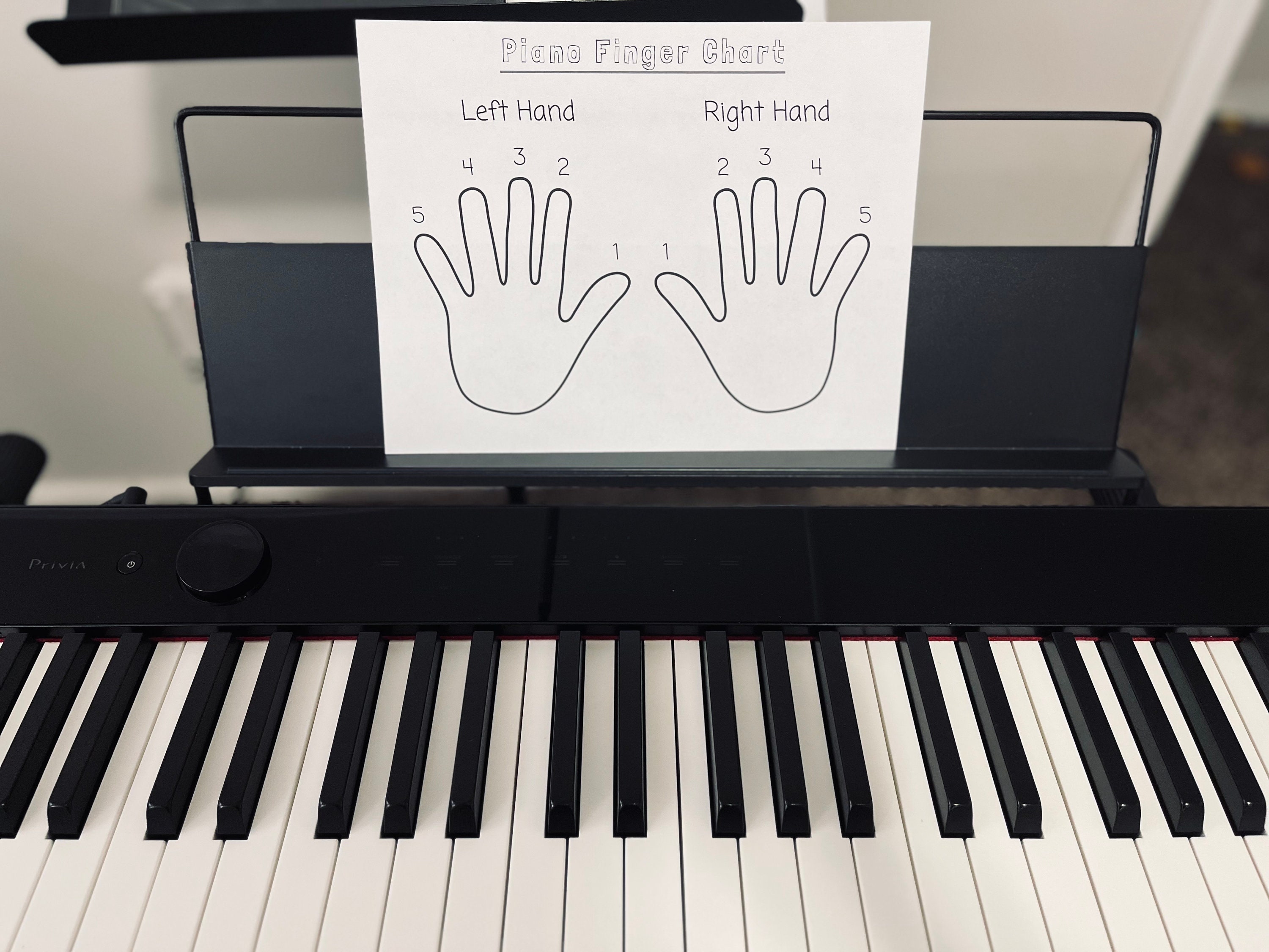 Printable Piano Finger Handout Digital Download 8.5 X 11 Inches - Etsy