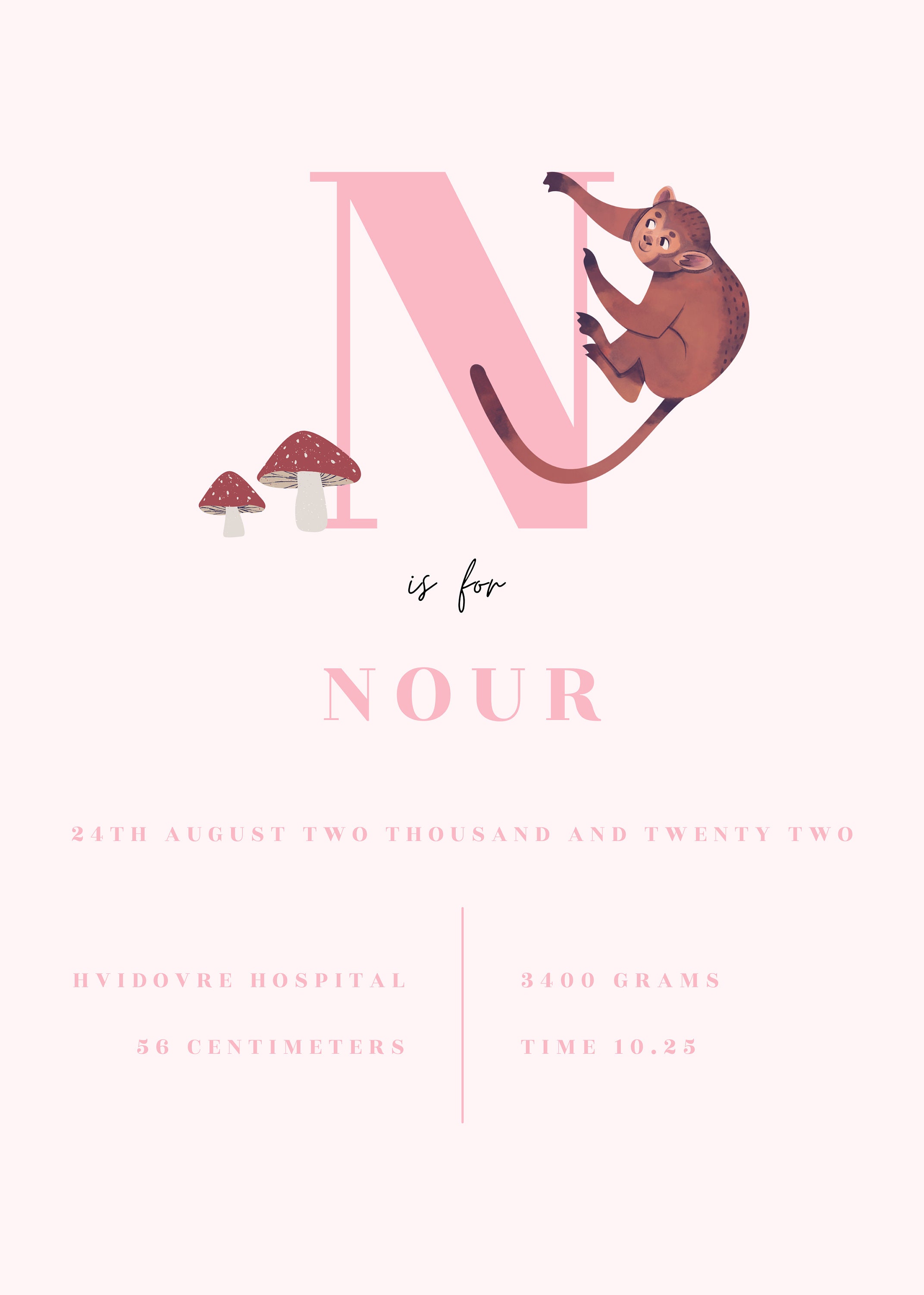 Printable Birth Information Sign Baby First Letter Print - Etsy