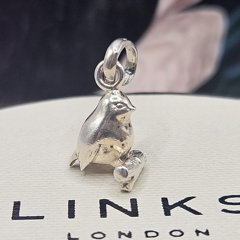 Robin Charms - Etsy UK