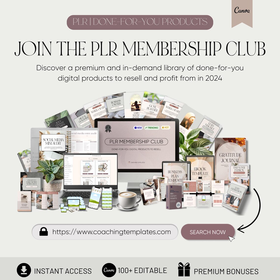 PLR Copywriting Templates, PLR Digital Products, PLR Digital Products ...