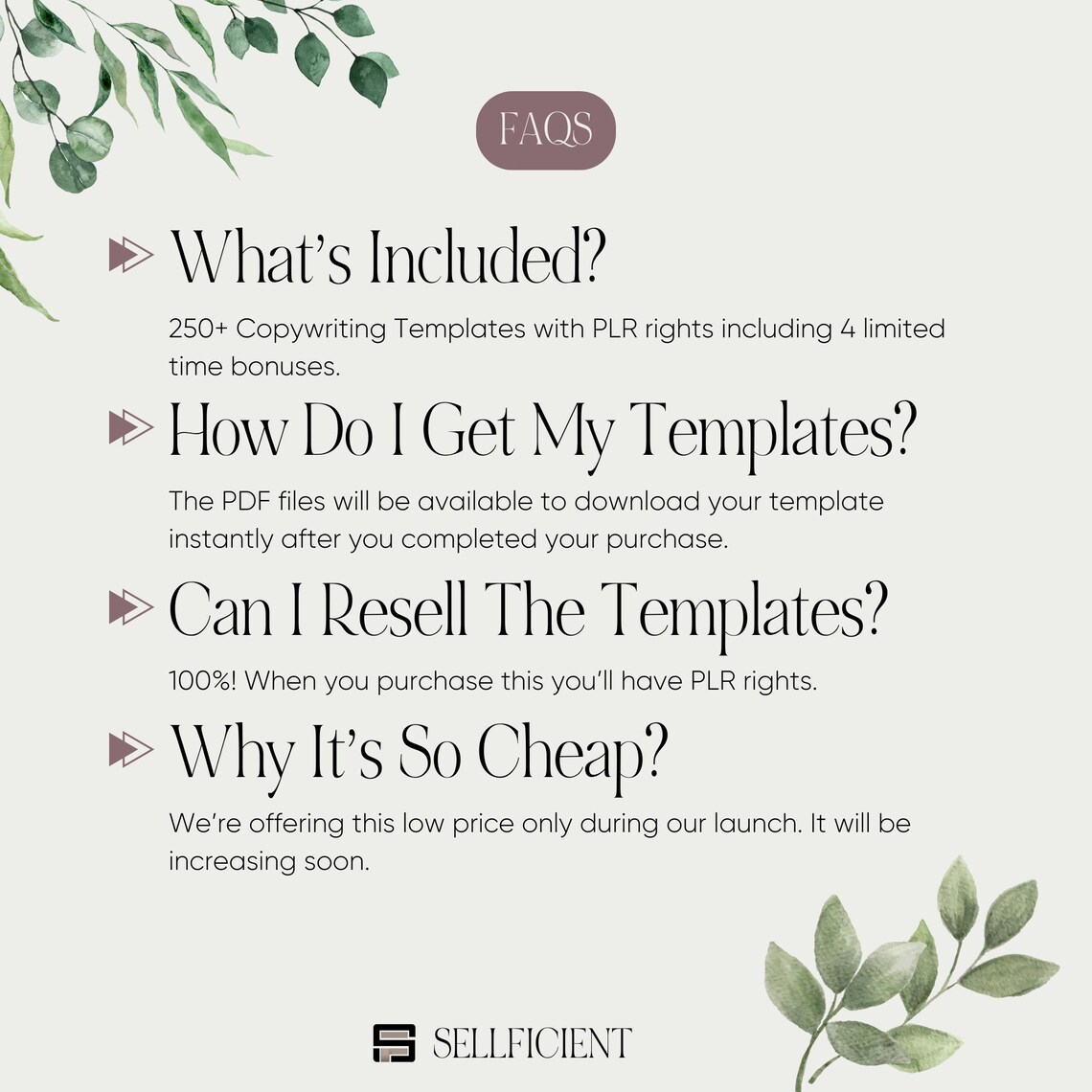 PLR Copywriting Templates, PLR Digital Products, PLR Digital Products ...