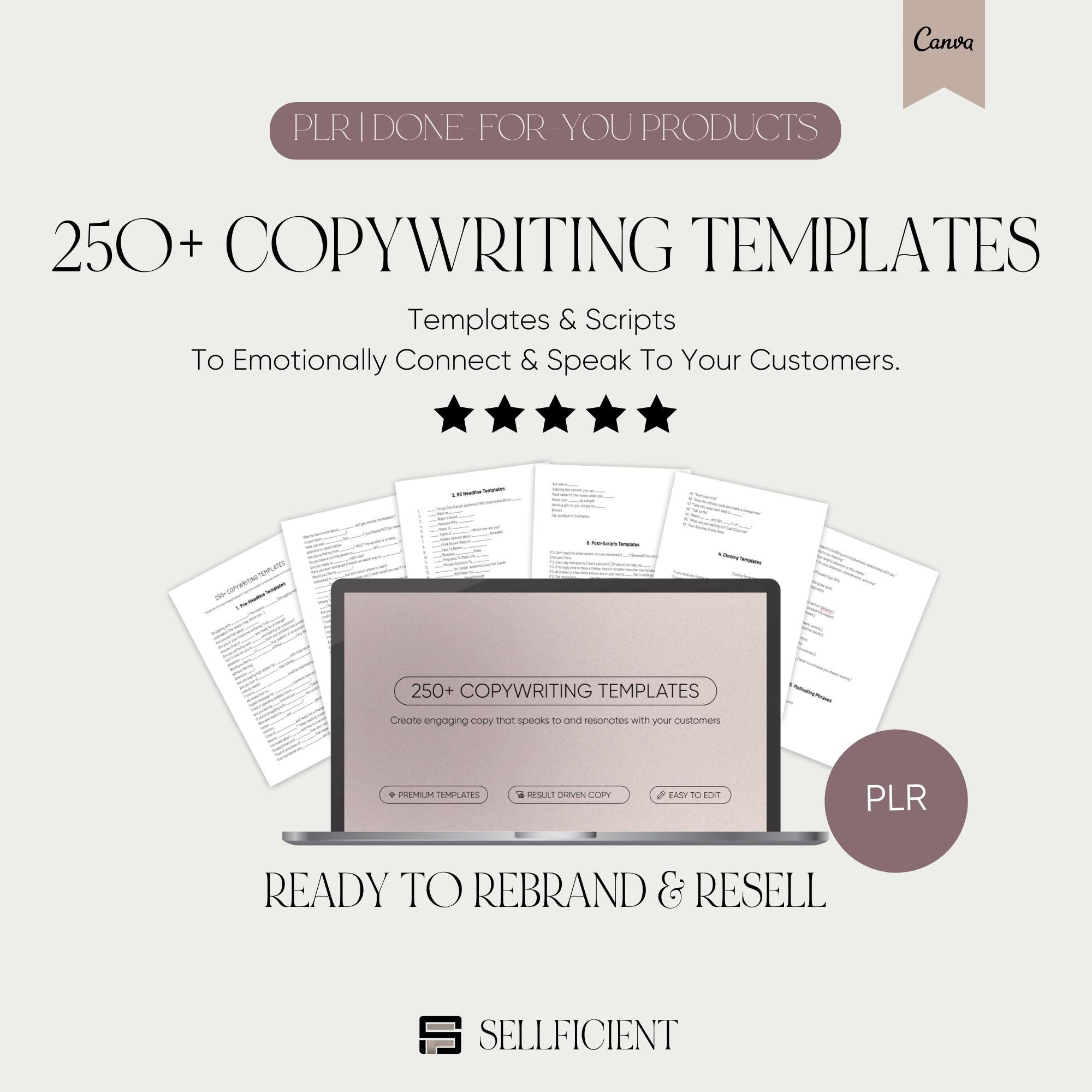 PLR Copywriting Templates, PLR Digital Products, PLR Digital Products ...