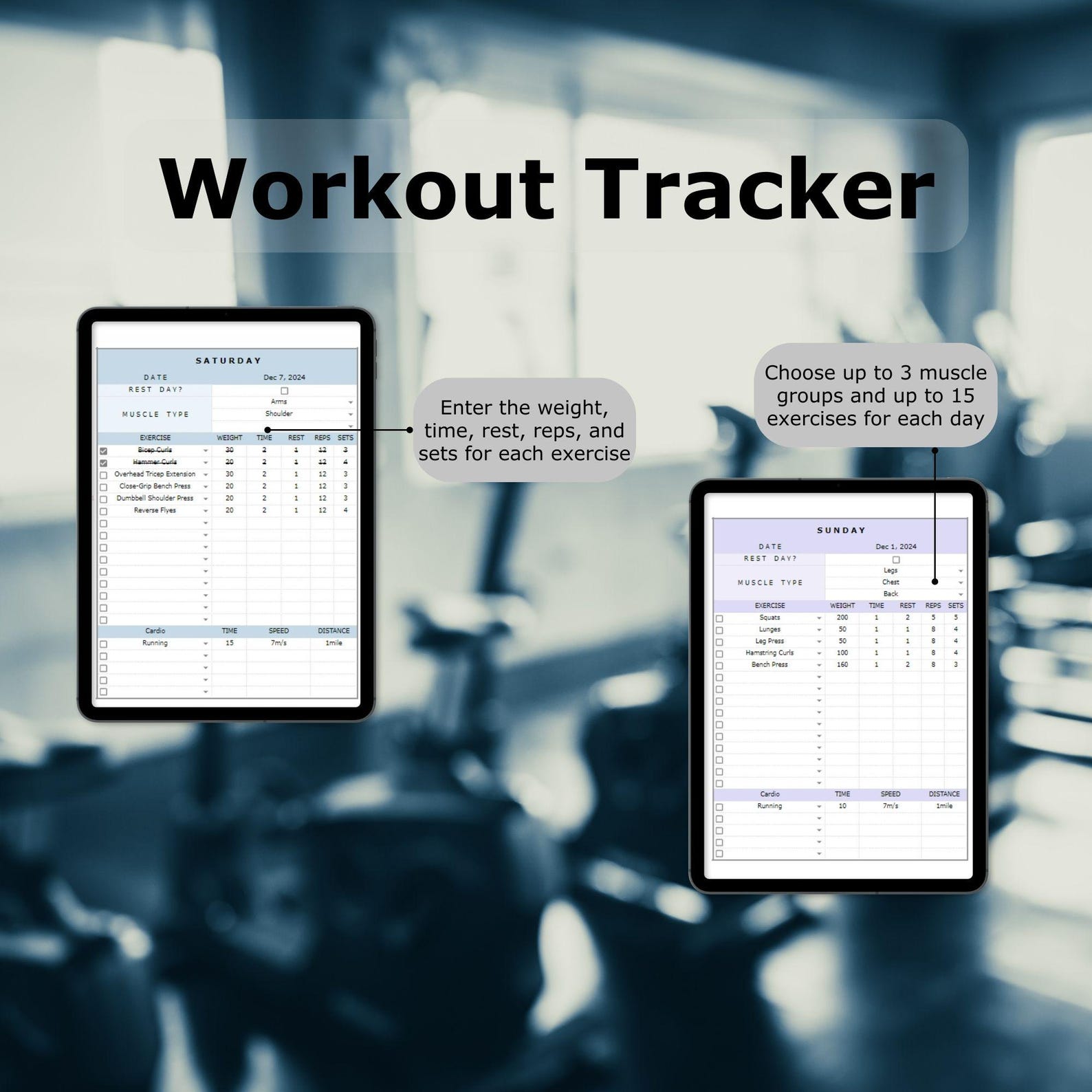 Workout Exercise Gym Planner Google Sheet for Fitness Progress Tracker ...