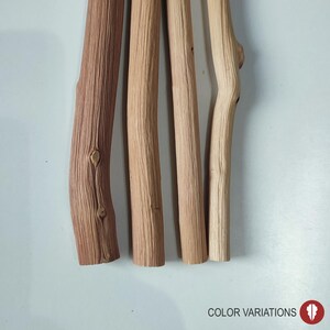 Oak Branches - Peeled and Dried. Oak Twigs With It's Unique Texture. 20 ...