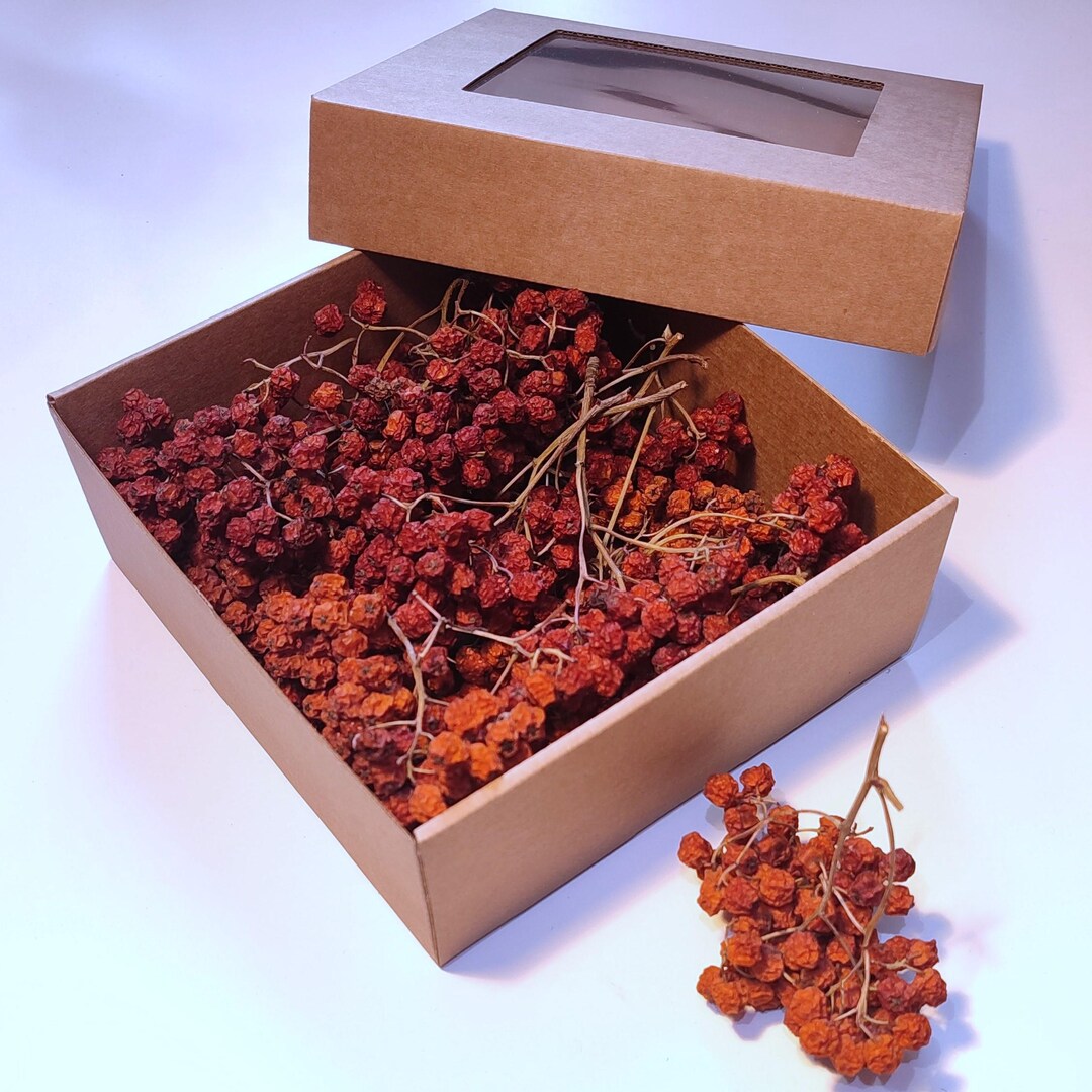 Dried Rowan Berries With All the Stems. Rowan Berry. A Bunch of Rowan ...