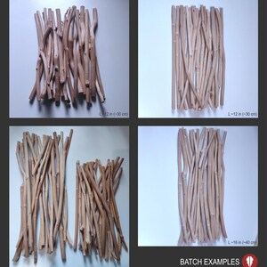 Oak Branches - Peeled and Dried. Oak Twigs With It's Unique Texture. 20 ...