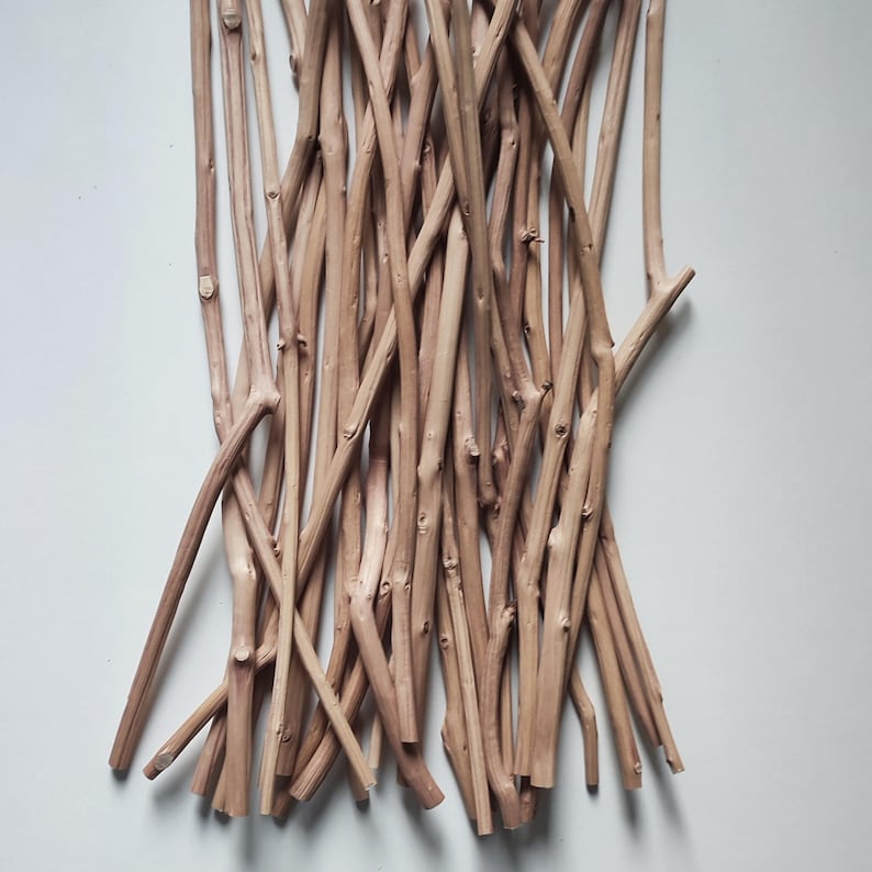 Thin Oak Branches - Peeled and Dried. Oak Twigs With It's Unique ...