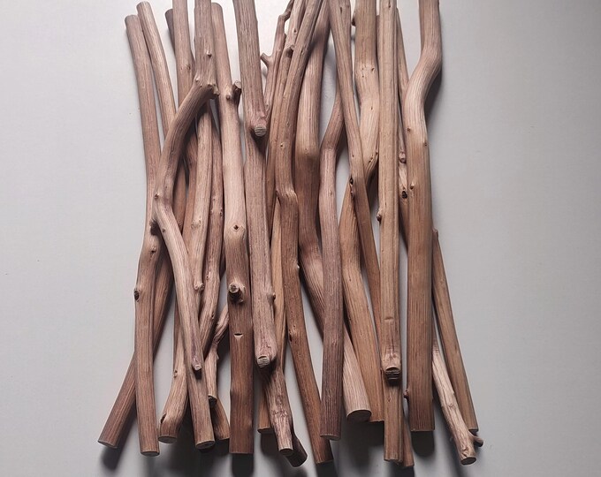 Oak Branches - Peeled and Dried. Oak Twigs With It's Unique Texture. 20 ...