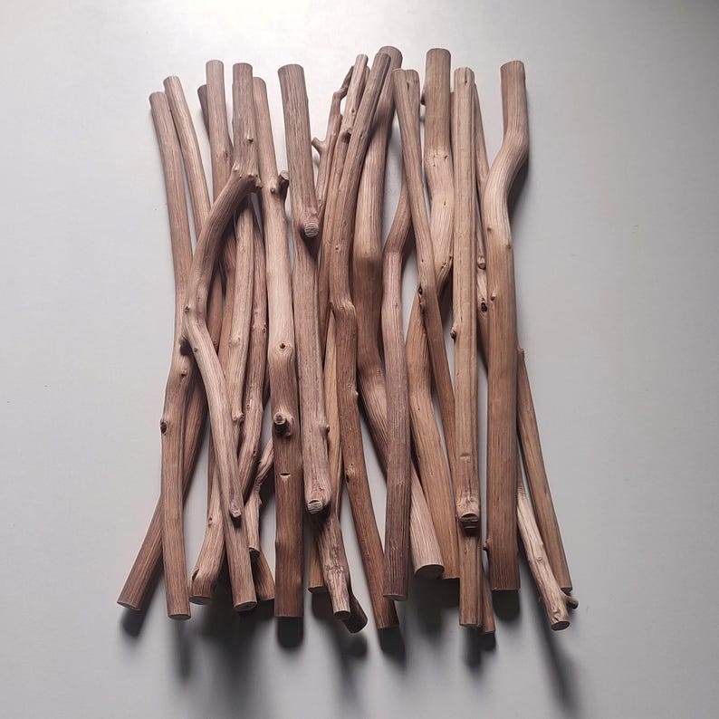 Oak Branches - Peeled and Dried. Oak Twigs With It's Unique Texture. 20 ...