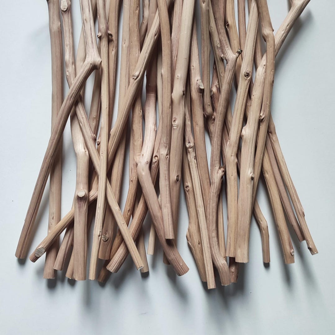 Thin Oak Branches - Peeled and Dried. Oak Twigs With It's Unique ...