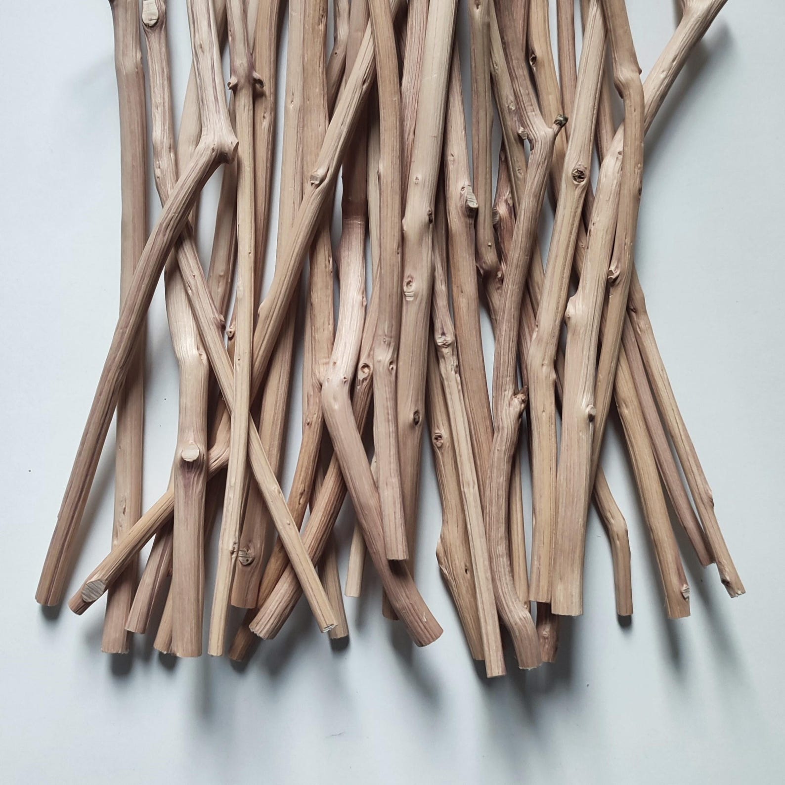 Thin Oak Branches - Peeled and Dried. Oak Twigs With It's Unique ...