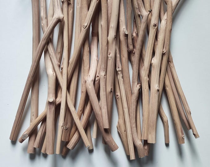 Thin Oak Branches - Peeled and Dried. Oak Twigs With It's Unique ...