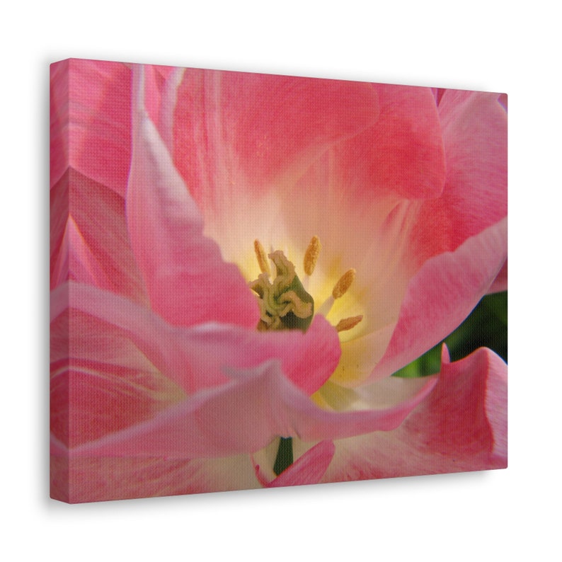 Pink Flower Canvas Print | Stunning Flower Photo Print | Colorful ...