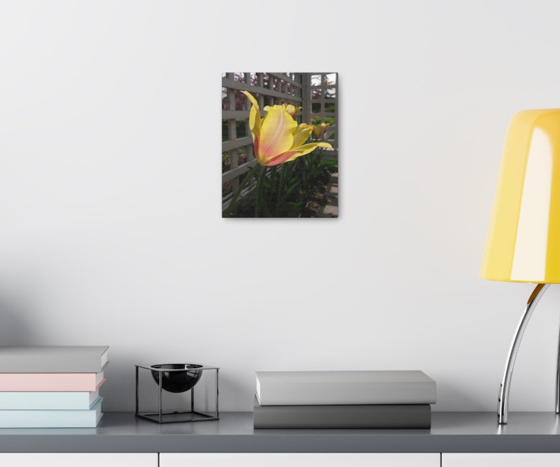 Yellow Tulip Canvas Print | Yellow Tulip Photo Print | Flower Wall Art ...