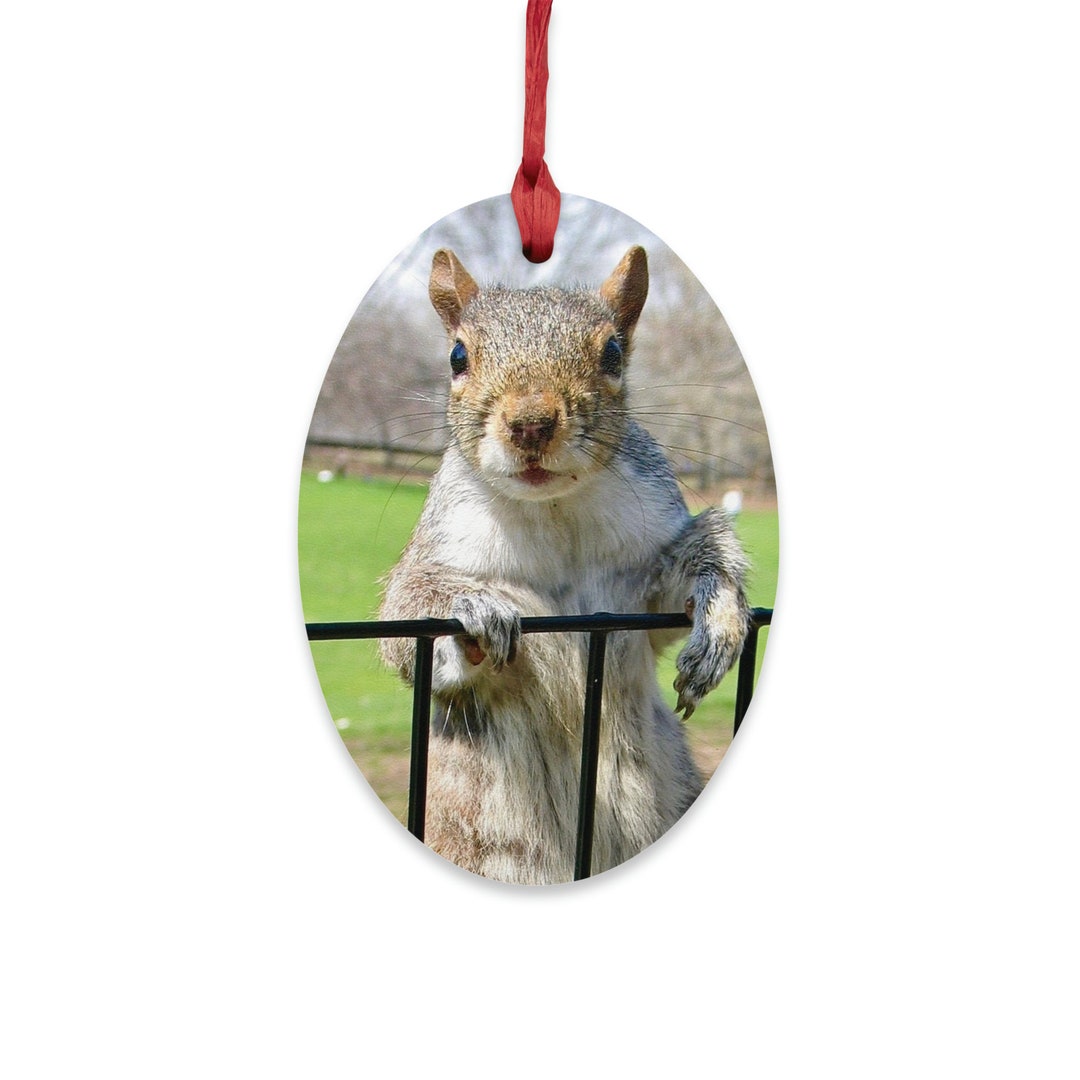 Squirrel Decoration Squirrel Magnet Squirrel Wood Ornament Squirrel ...