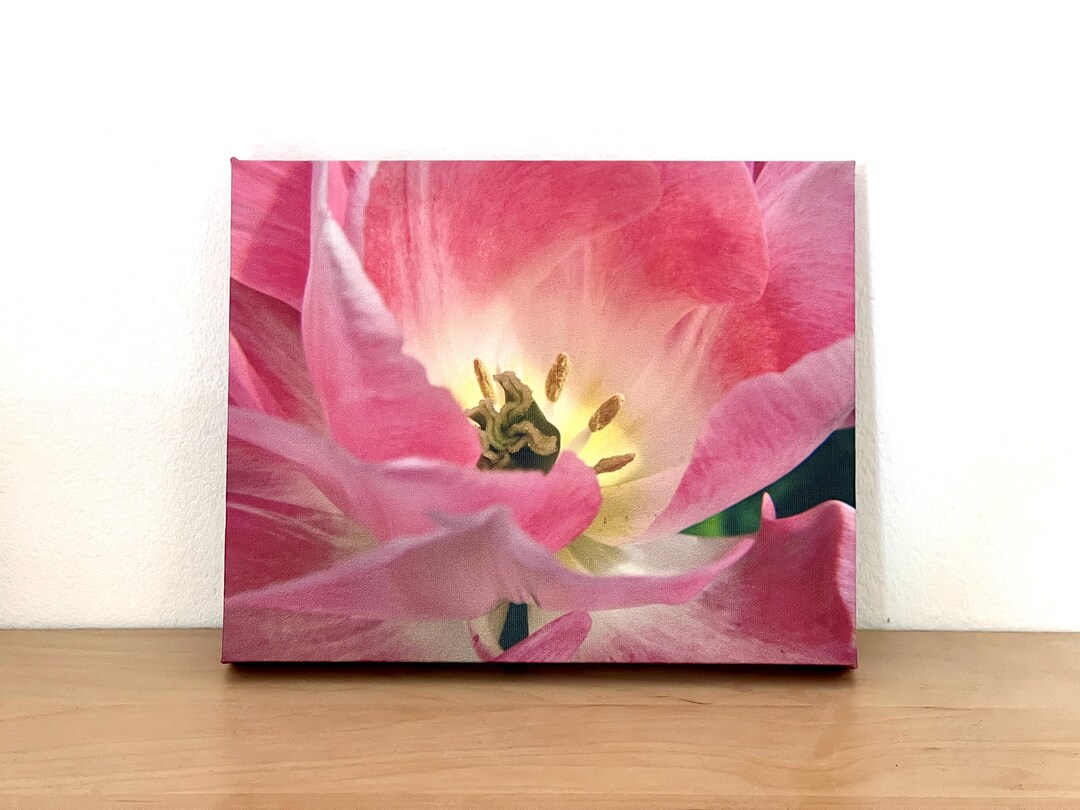 Pink Flower Canvas Print | Stunning Flower Photo Print | Colorful ...
