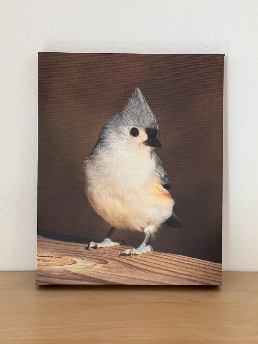 Tufted Titmouse Bird Canvas Print - Titmouse Bird Print - Small Bird ...