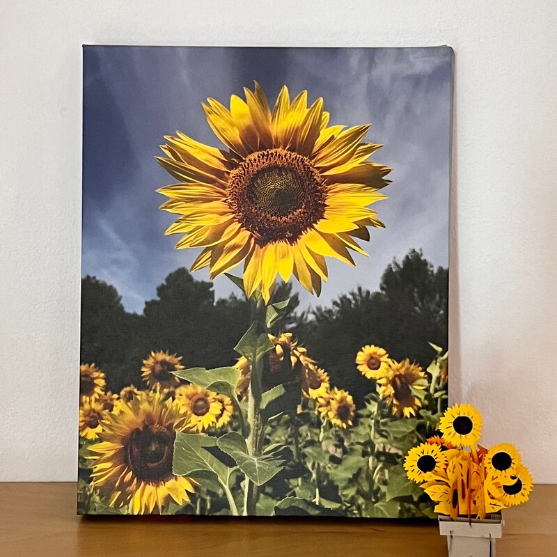 Sunflower Canvas - Etsy