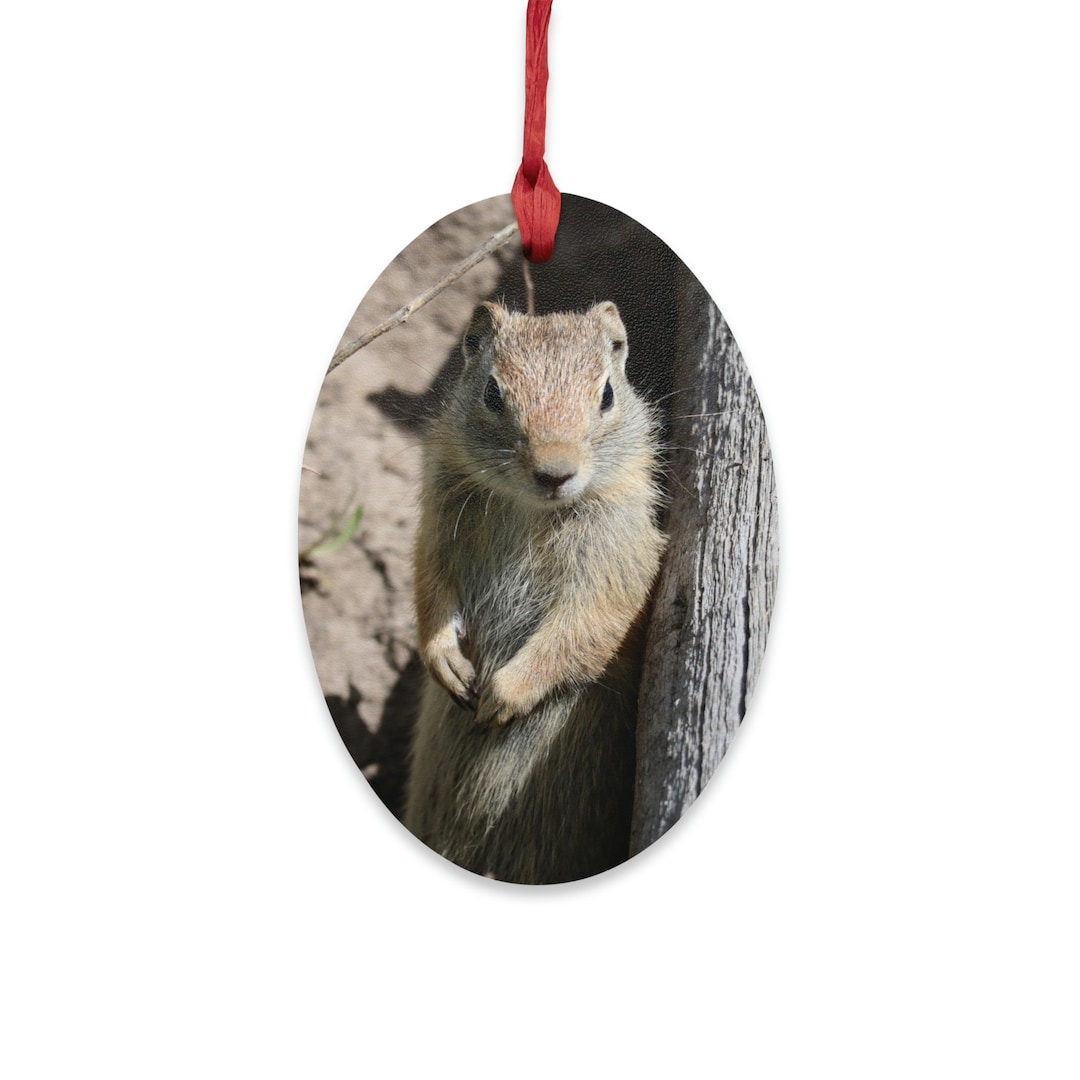 Ground Squirrel Wood Decoration Ground Squirrel Magnet Squirrel Home ...