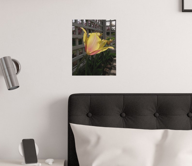 Yellow Tulip Canvas Print | Yellow Tulip Photo Print | Flower Wall Art ...