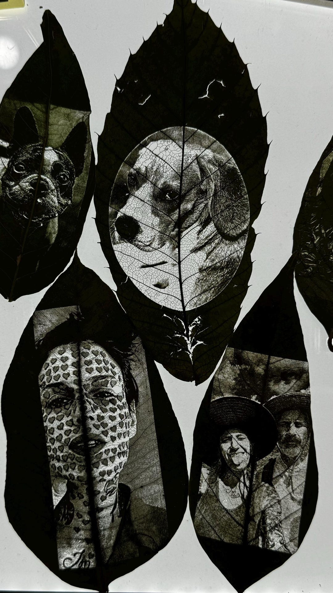 Personalized Photo Engraved Tree Leaf - Etsy