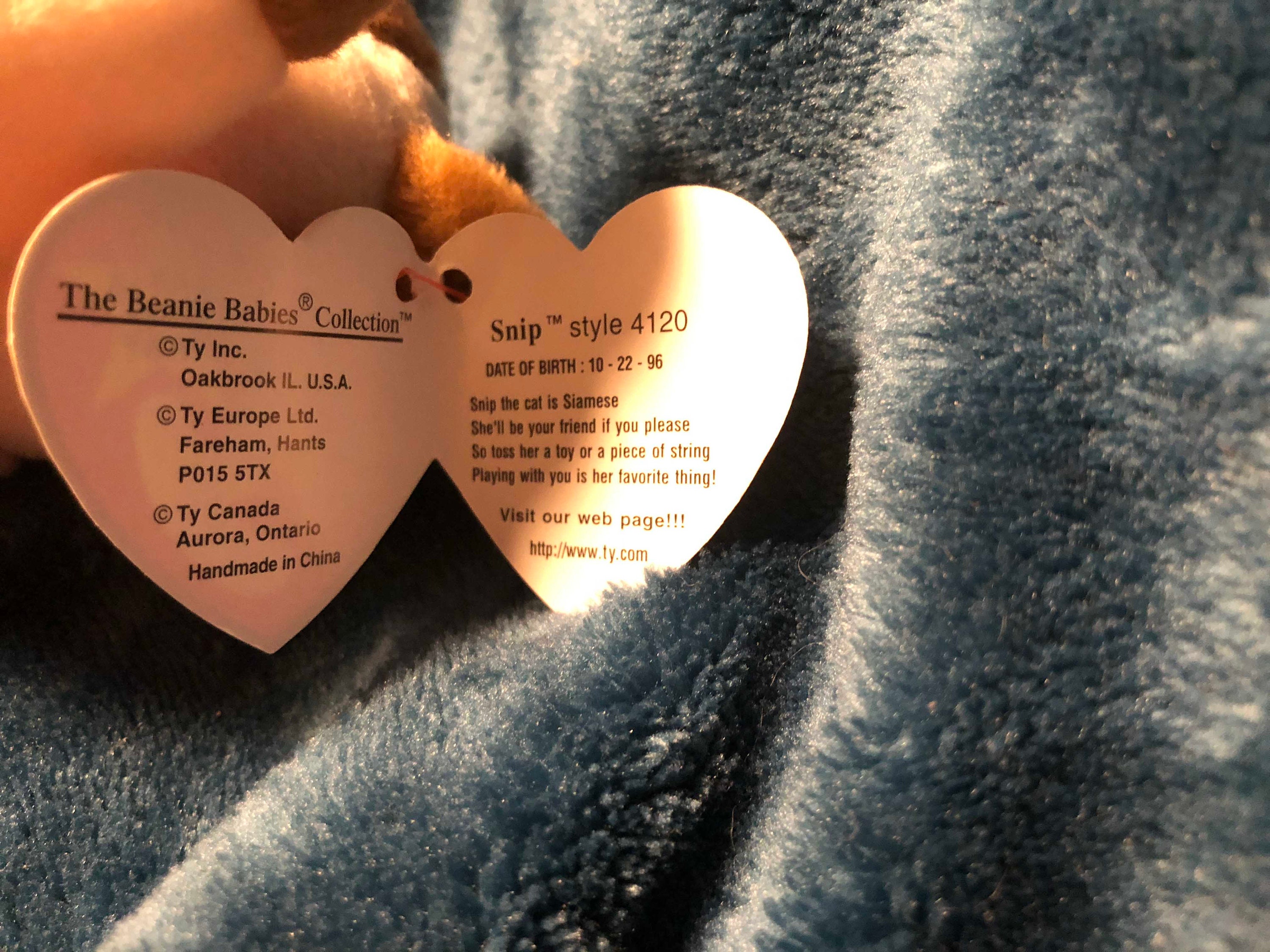 Cat Beanie Babies Package! Chip, Snip, Zip, Nip, Flip All PVC Pellets ...