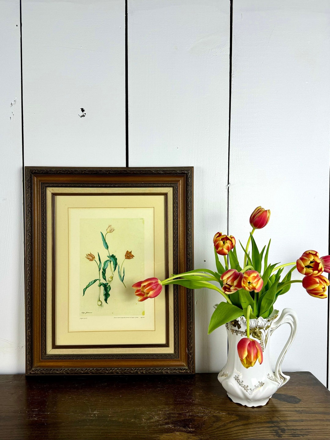 Vintage Botanical Lithotraph After Jacopo Ligozzi’s Tulipa Gesner ...