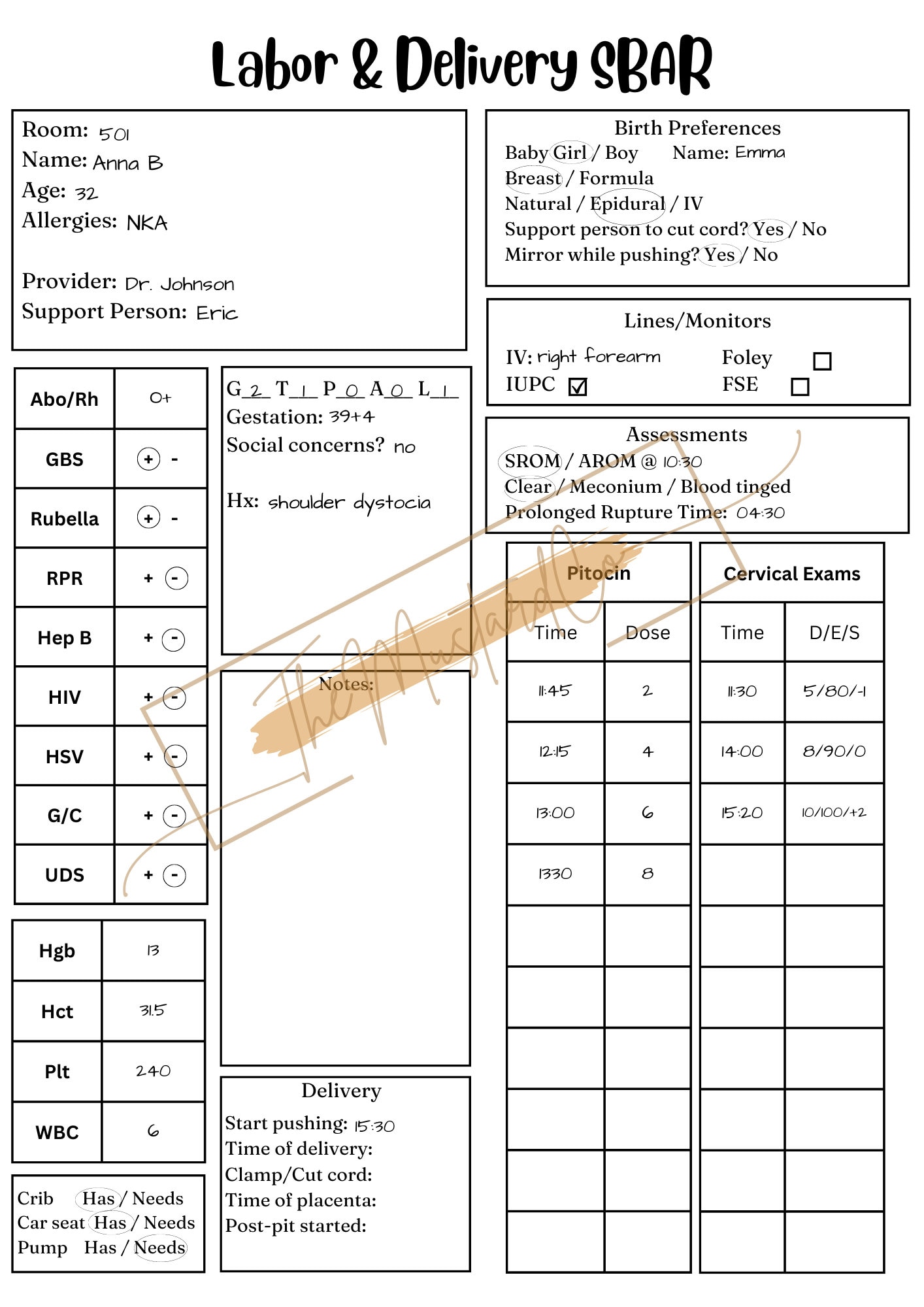 Labor & Delivery SBAR - Etsy