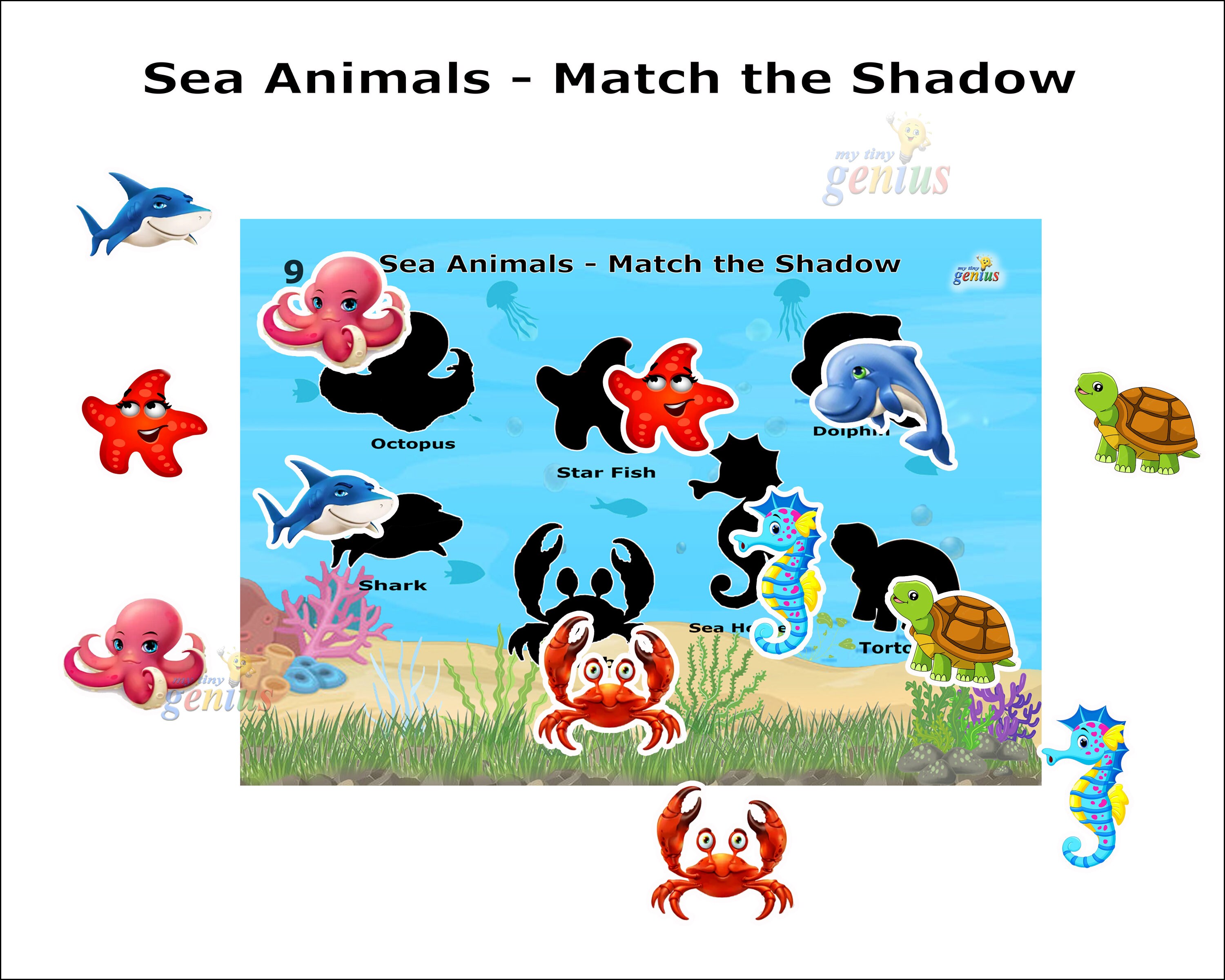 Sea Animals Match the Shadow My Tiny Genius Matching - Etsy