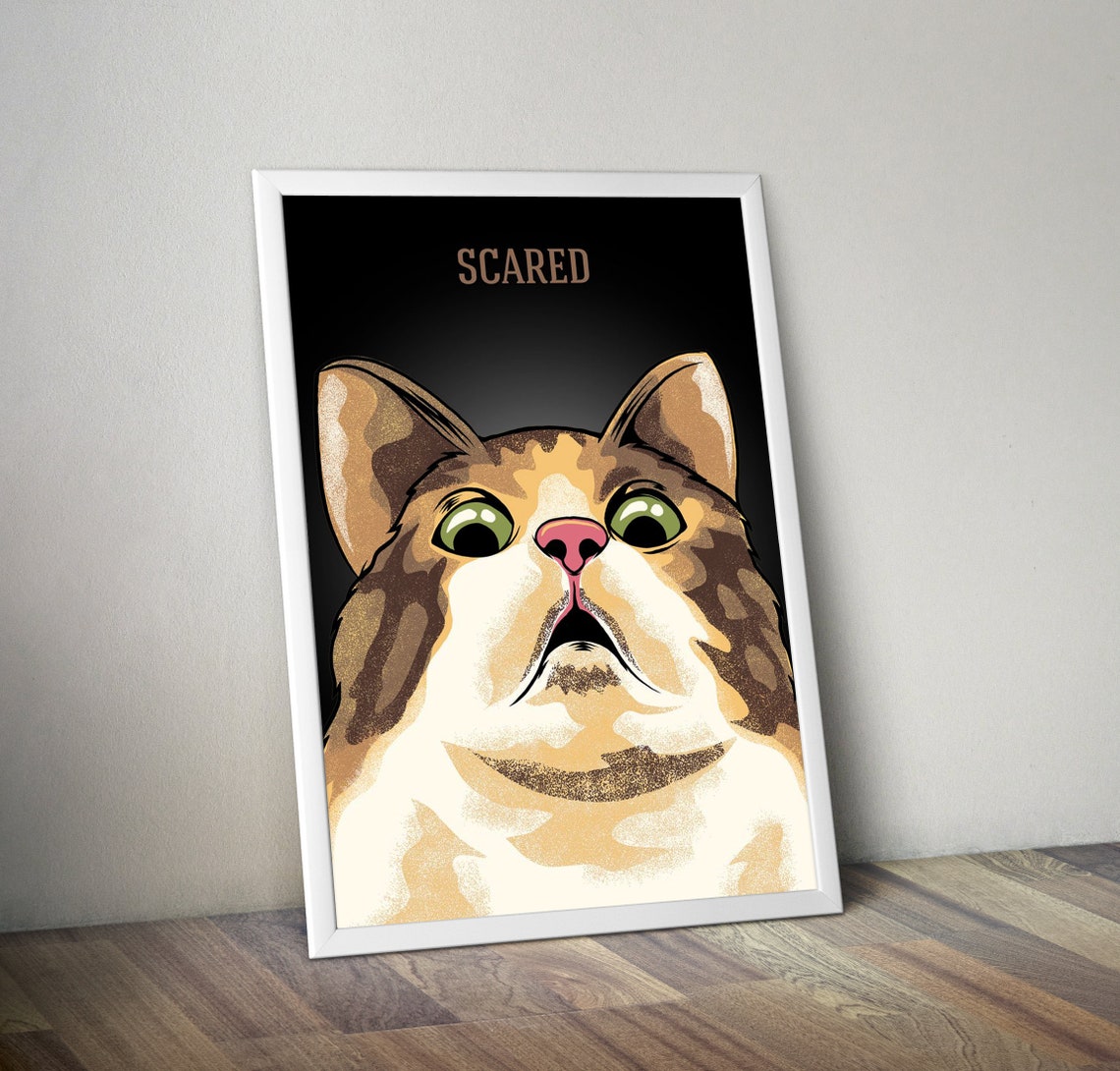 Scared Cat Meme Poster Funny Memes Funny Present Meme Poster Funny ...