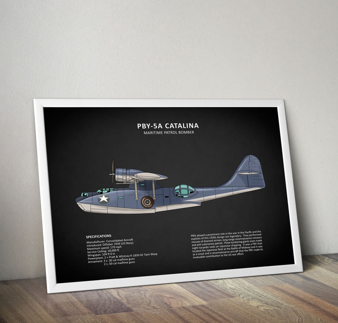 The PBY-5A Aircraft Poster Aviation Art Airplane Wall Decor Vintage ...