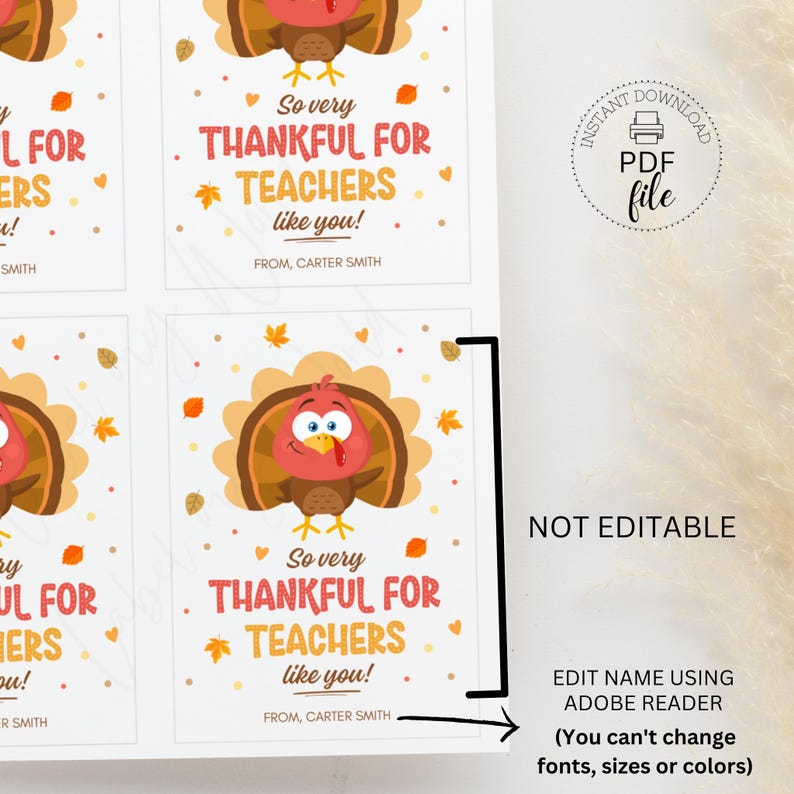 Printable Thankful for Teachers Like You Gift Tag, Personalized Happy ...