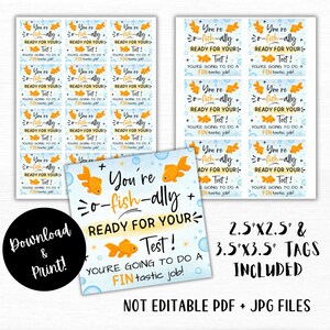 Printable Fish Crackers Testing Day Gift Tag, O-fish-ally Ready for ...