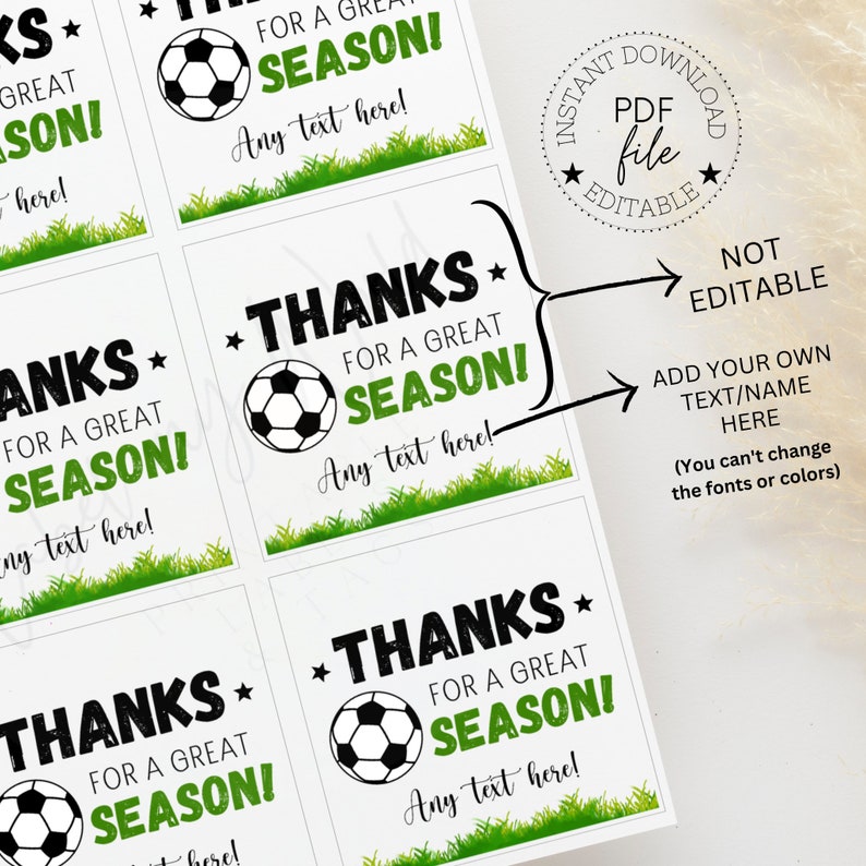 Printable/personalized End of Season Soccer Tags Thanks for a Great ...