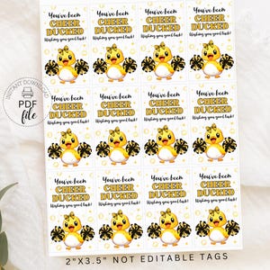 Printable Cheer Duck Tag, You've Been Cheer Ducked Wishing You Good ...