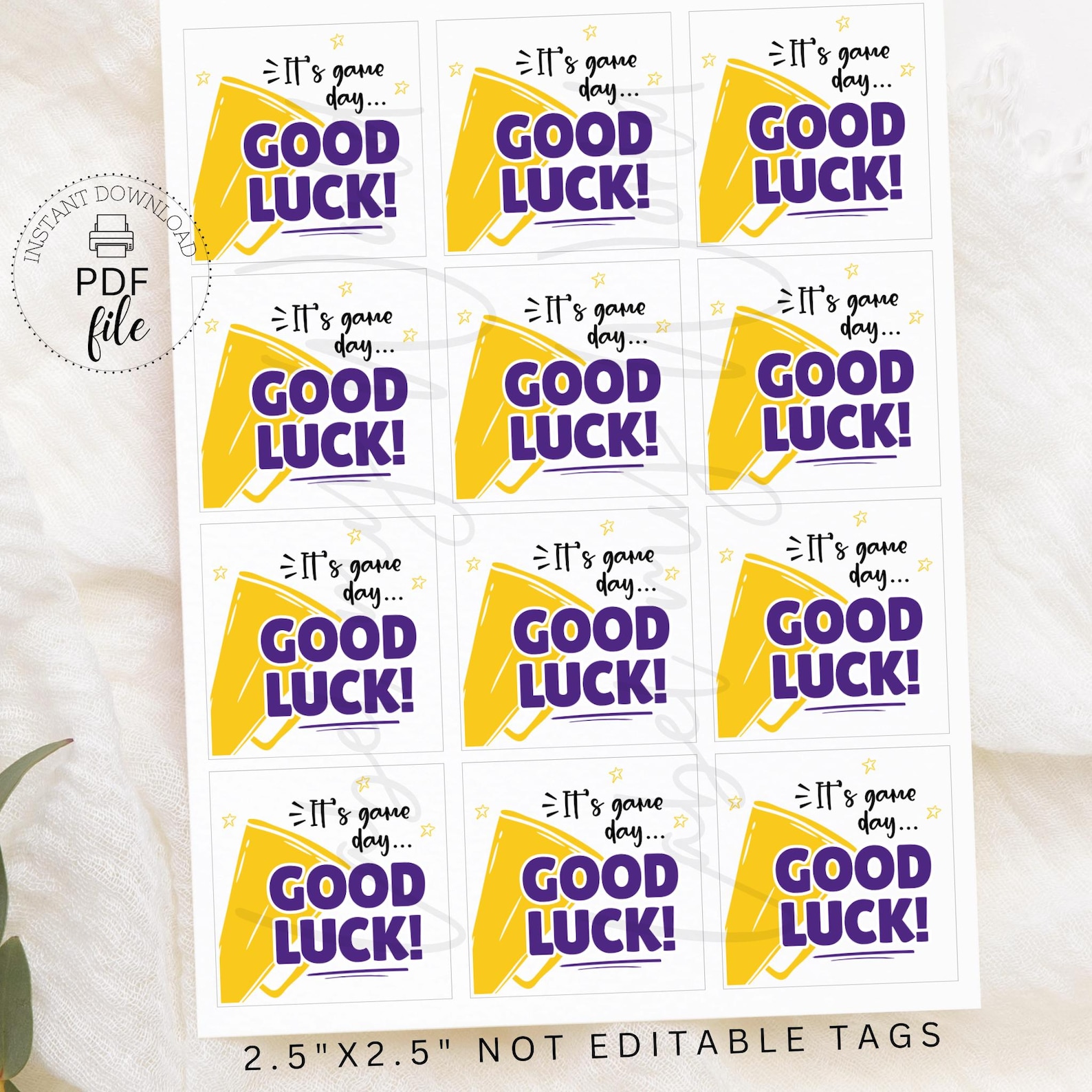 Printable Sports Team Game Day Tag, It's Game Day Good Luck Gift Tags ...