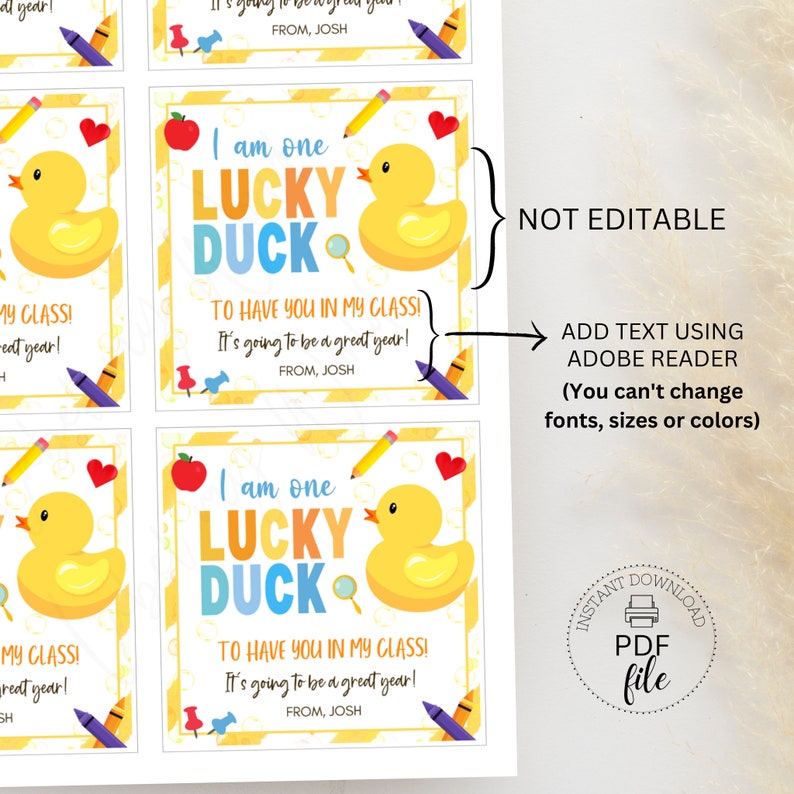 Printable One Lucky Duck Back to School Tags, Happy First Day of School ...