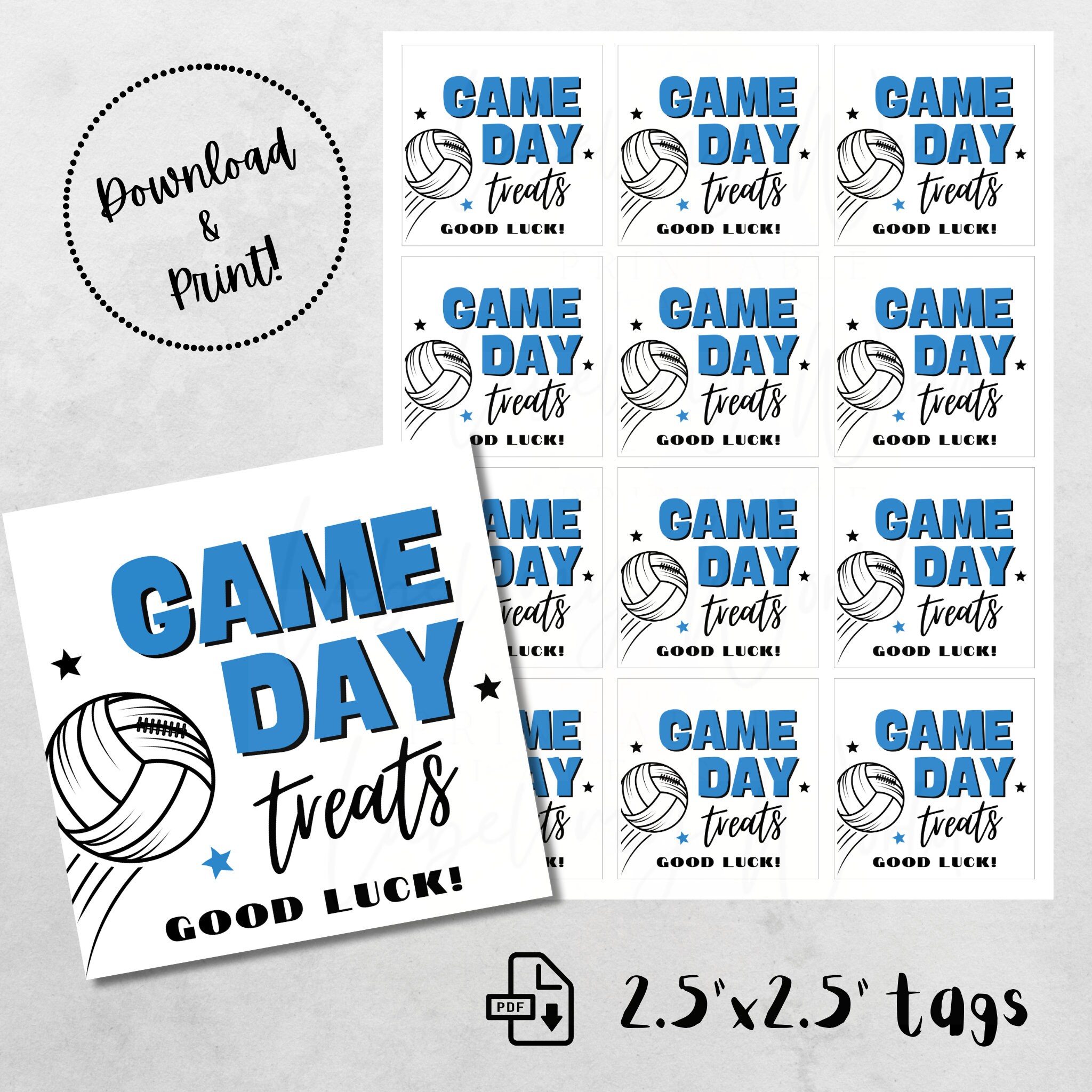 Printable Volleyball Game Day Tags Game Day Treats Good Luck Gift Tag ...