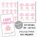 Printable I Got Too Lit Recovery Kit Tags, Bachelorette Party Favor Tag ...