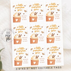 Printable A Little Pumpkin Spice Because You're so Nice Treat Tag ...