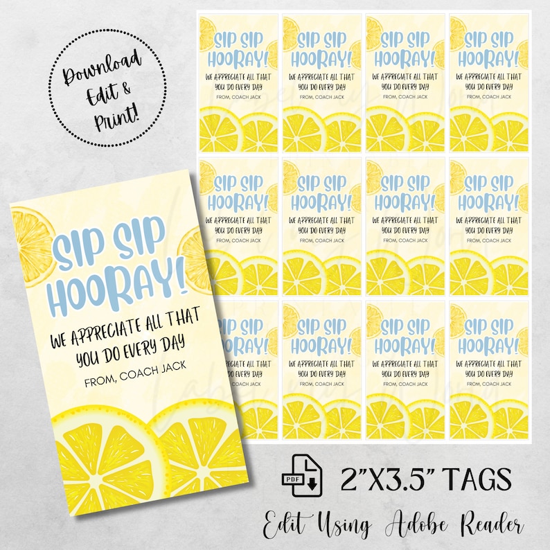 Appreciation Lemonade/water Gift Tag, Printable School/employee/nurse ...