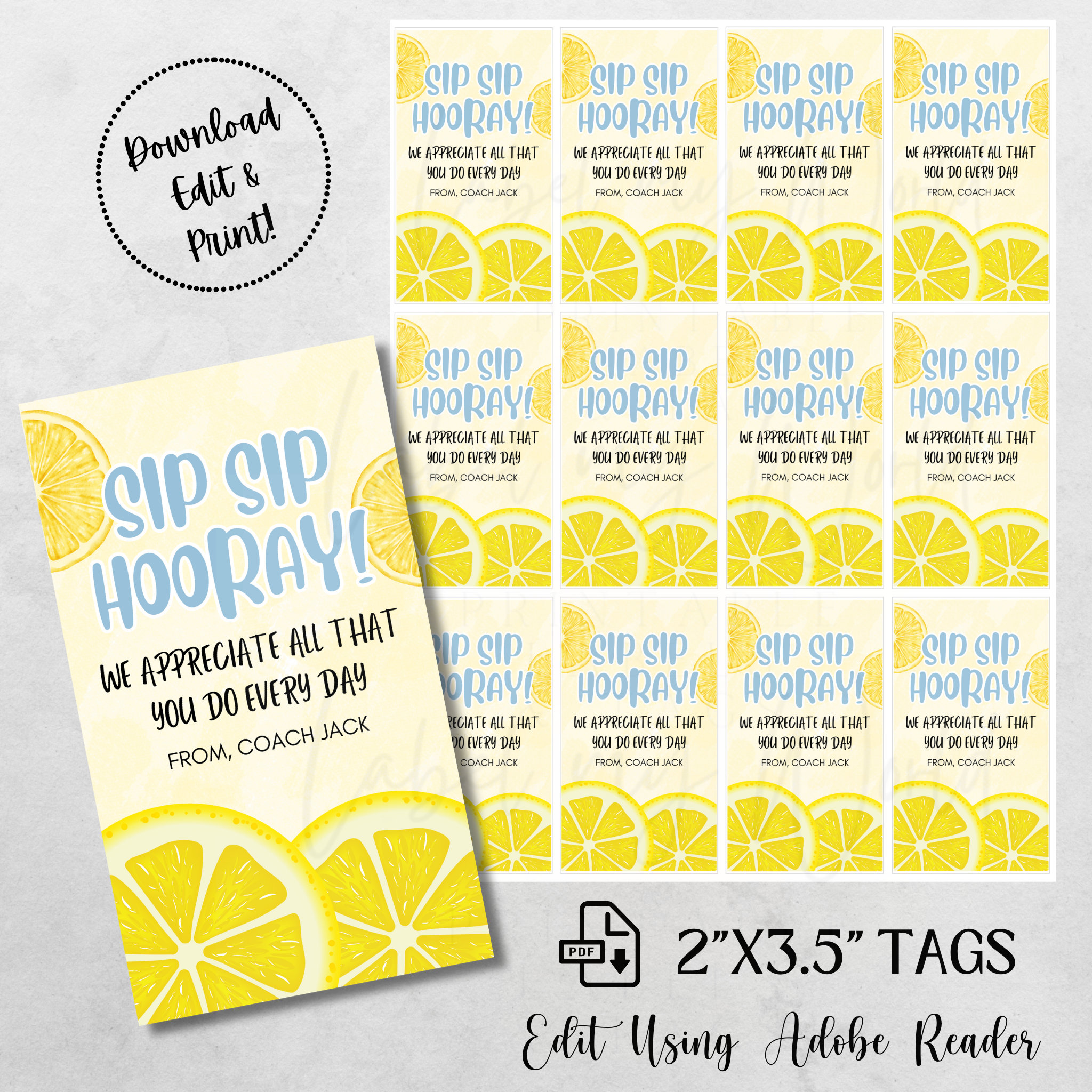 Appreciation Lemonade/water Gift Tag, Printable School/employee/nurse ...