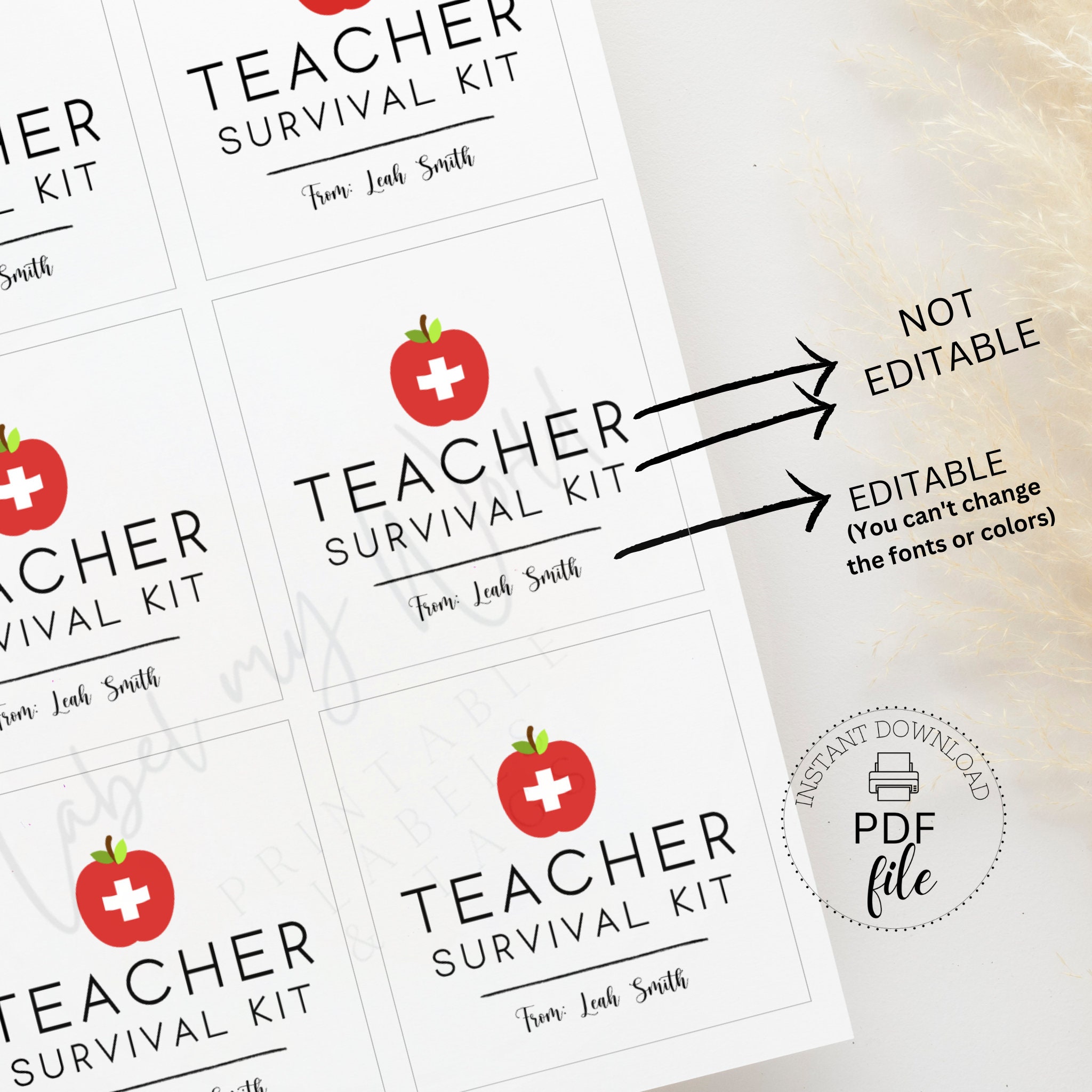 Teacher Survival Kit Tag Printable Teacher Back to School - Etsy