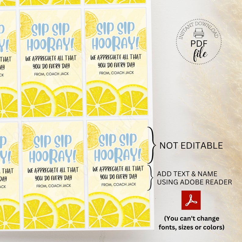 Appreciation Lemonade/water Gift Tag, Printable School/employee/nurse ...
