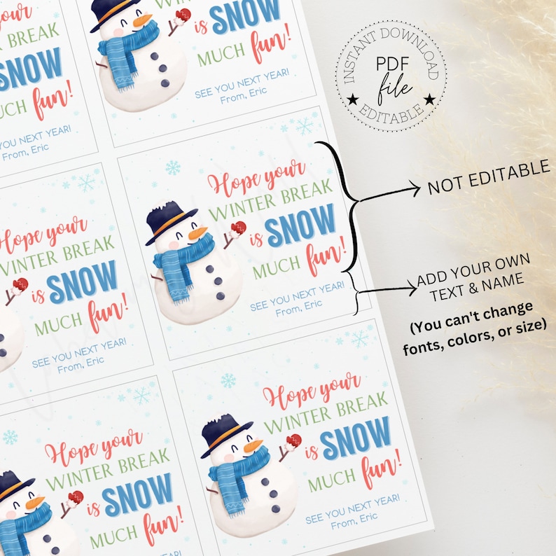 Hope Your Winter Break is SNOW Much Fun Gift Tag Printable Merry ...
