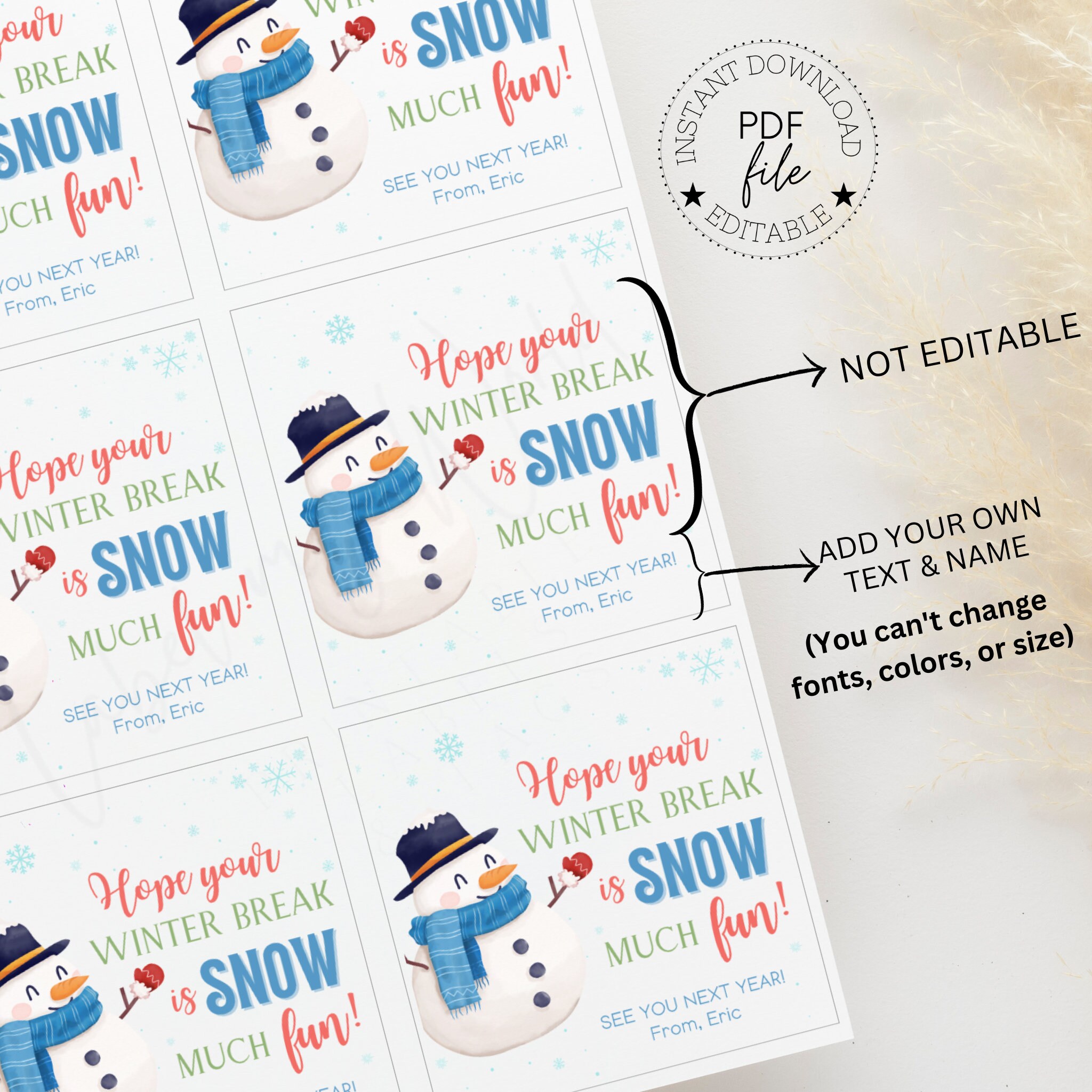 Hope Your Winter Break is SNOW Much Fun Gift Tag | Printable Merry ...