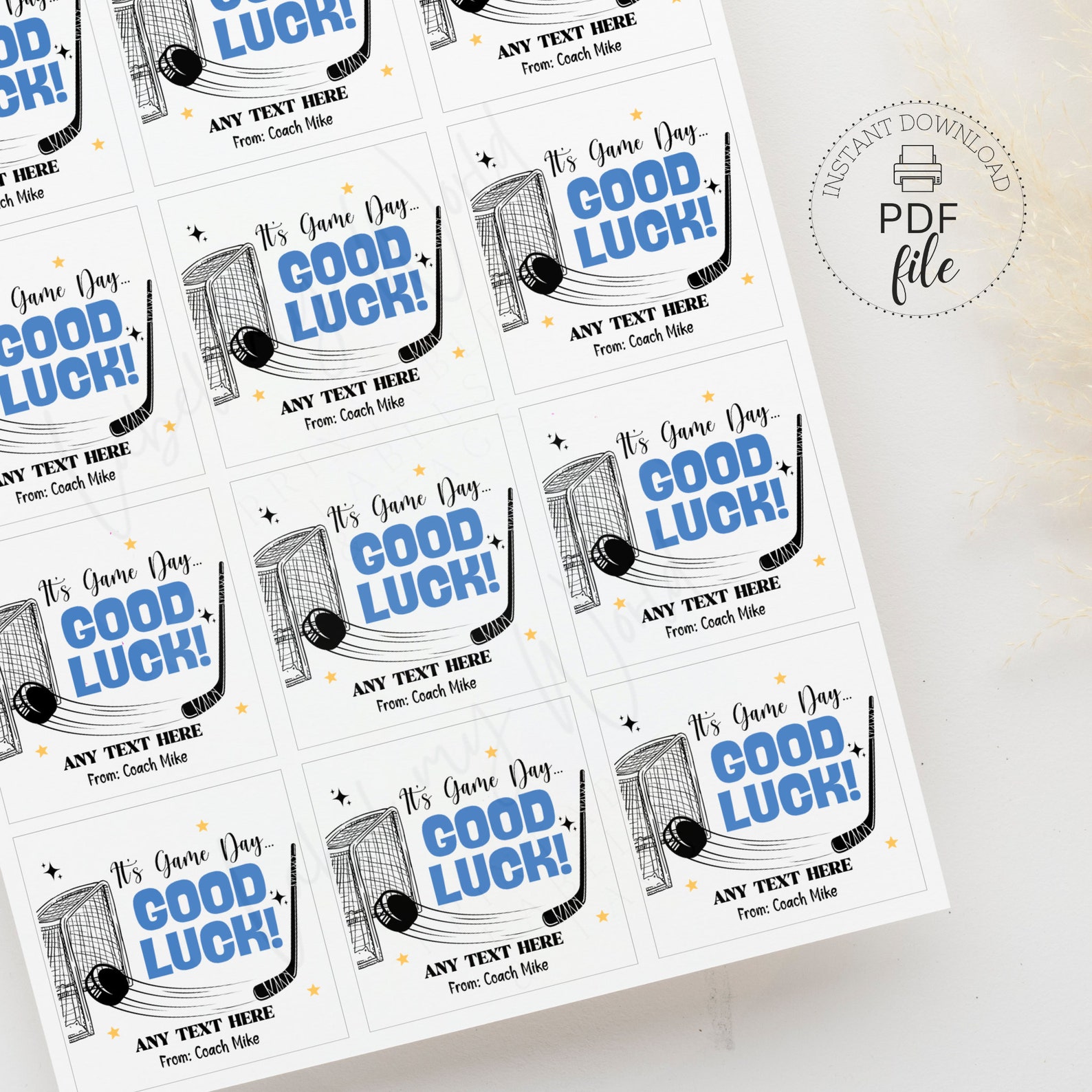Printable Ice Hockey Good Luck Tags | Personalized Cheer Hockey Team ...