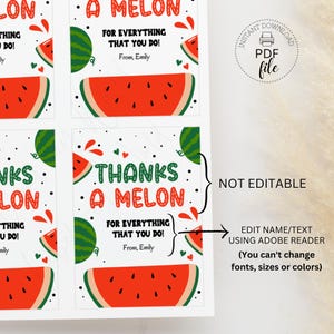Printable Watermelon Favor Tags, Personalized Thanks a Melon 2.5x3.5 ...