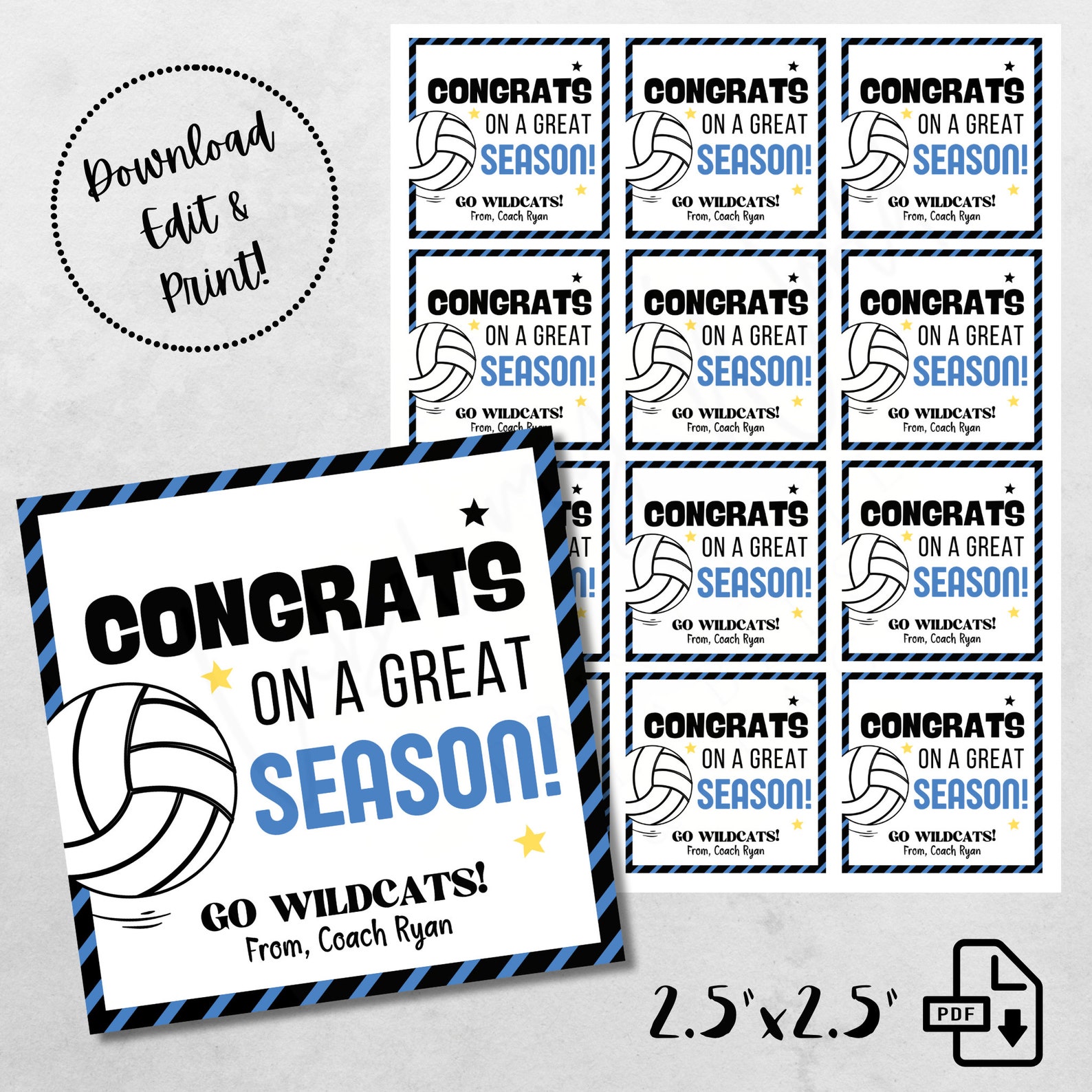 Volleyball End of Season Printable Tags | Personalized Congrats/thanks ...